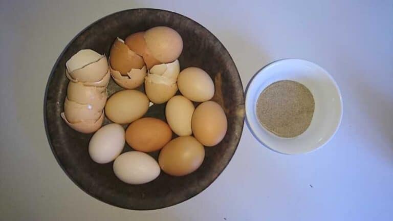 How to Get Calcium on the Carnivore Diet?