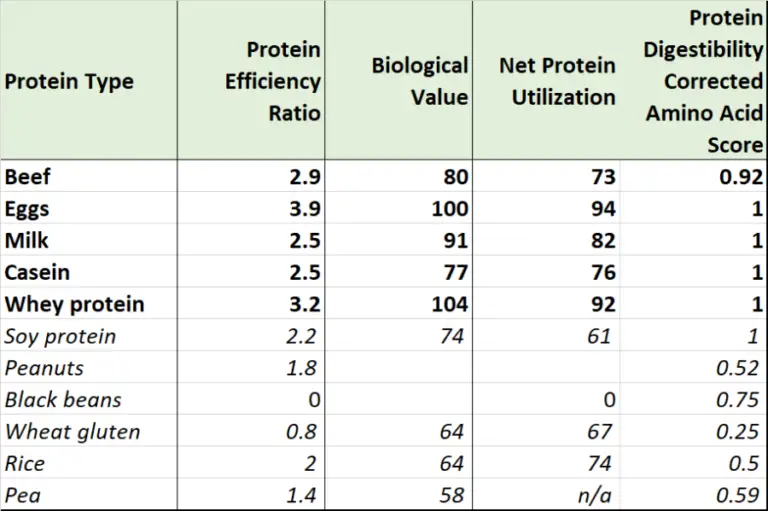 Why You Will Lose Weight Naturally on the Carnivore Diet
